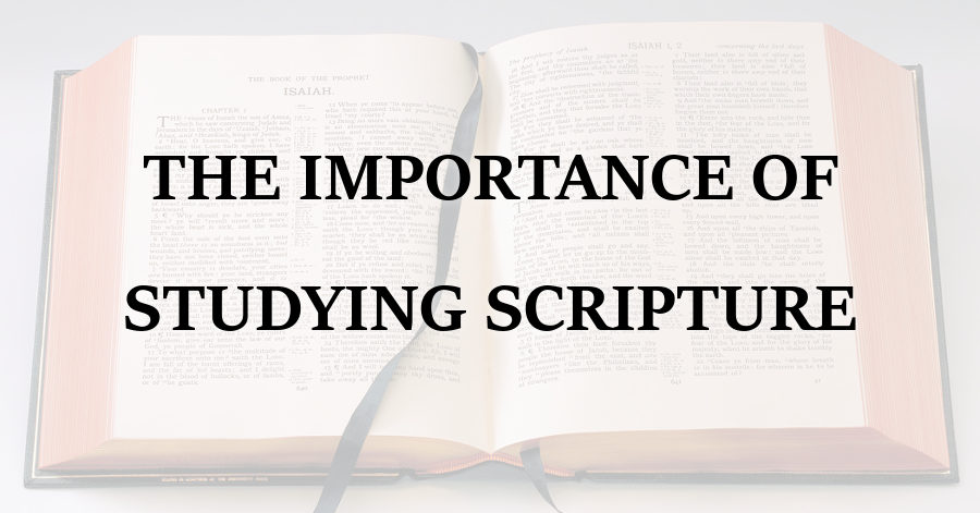 The Importance of Studying Scripture – Purely Presbyterian