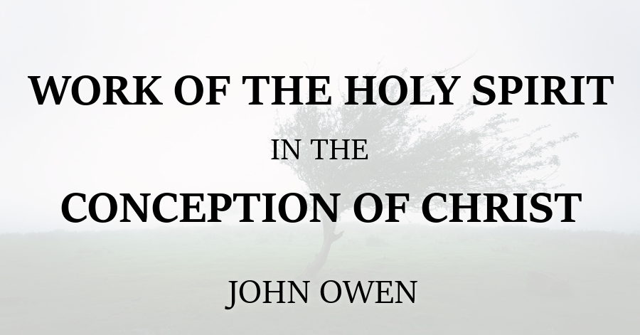 Work of the Holy Spirit in the Conception of Christ – Purely Presbyterian